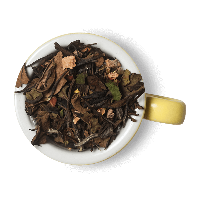 Many Worlds Tavern - Coffee • Tea • Adventure